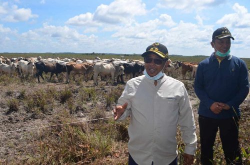Setda Prov Kalteng - Dukung Program Food Estate Kalteng, Kabupaten ...