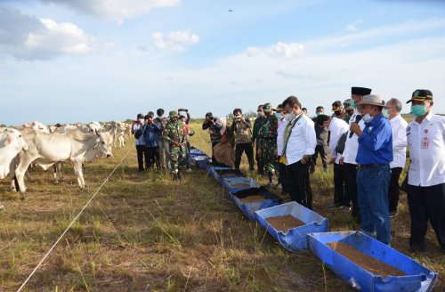Setda Prov Kalteng - Menteri Pertanian Bersama Gubernur Kalteng Tinjau ...
